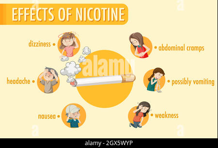 Effects of nicotine information infographic illustration Stock Vector ...
