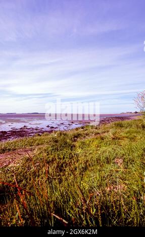 The beautiful Budle Bay, near Bamburgh, Northumberland, with early ...