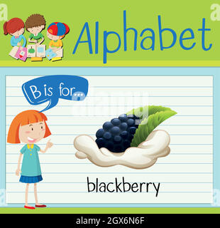 Flashcard letter B is for blackberry illustration Stock Photo - Alamy