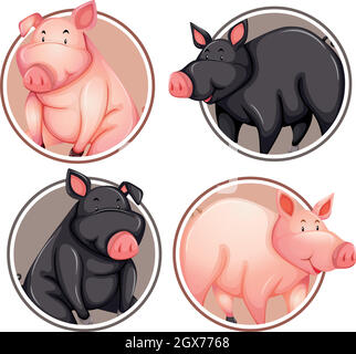 Set of pig on circle template illustration Stock Vector Image & Art - Alamy