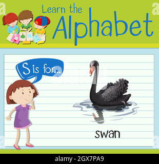 Flashcard letter S is for swan Stock Vector Image & Art - Alamy