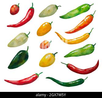 set of hot chili peppers watercolor freehand drawing Stock Photo - Alamy