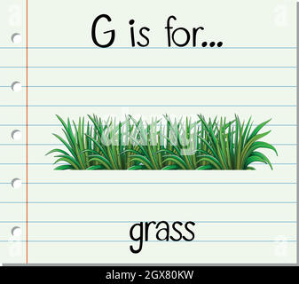 Flashcard letter G is for grass Stock Vector Image & Art - Alamy