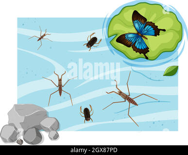 Top view of aquatic insects in the pond illustration Stock Vector Image ...
