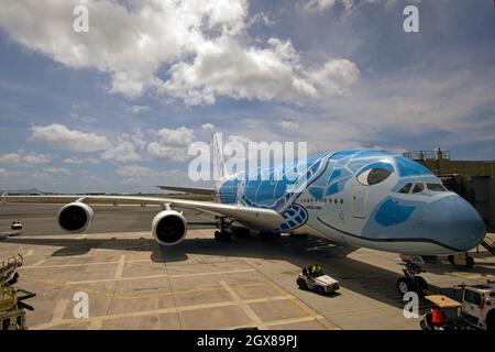 Airbus A380 airplane from ANA Airlines decorated with a sea turtle ...