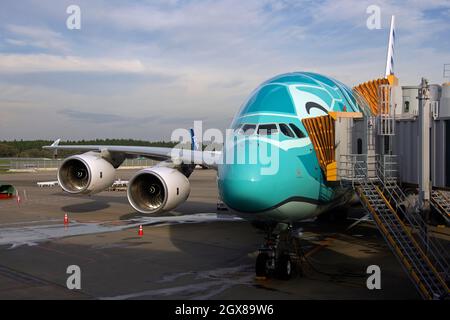 Airbus A380 airplane from ANA Airlines decorated with a sea turtle ...