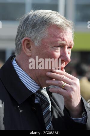 Sir Alex Ferguson on day eleven of the Wimbledon Championships at the ...