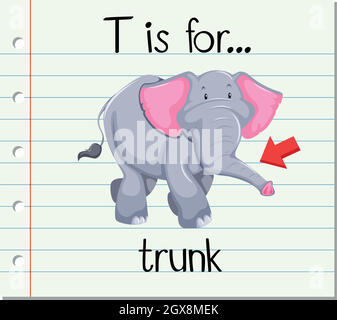 Flashcard letter T is for trunk Stock Vector Image & Art - Alamy