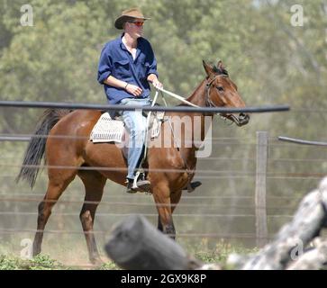 Prince Harry riding his horse Guardsman with the team mustering herd ...