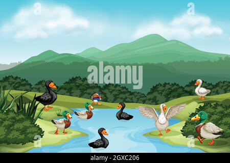 Cute Ducks in the Pond illustration Stock Vector Image & Art - Alamy
