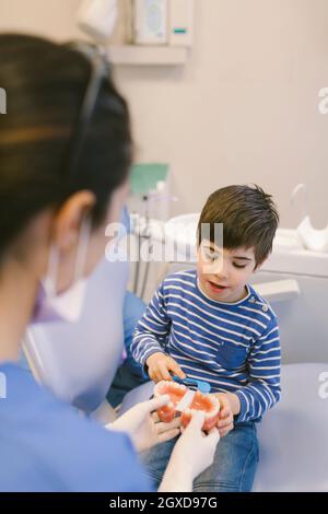 Dentist dental teeth teaching model showing titanium metal tooth ...