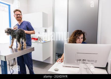 Smiling Woman stroking fluffy Yorkshire Terrier and talking to male ...