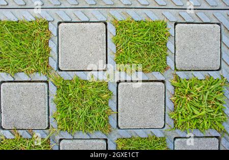 Sample of brick pavement with grass Stock Photo - Alamy