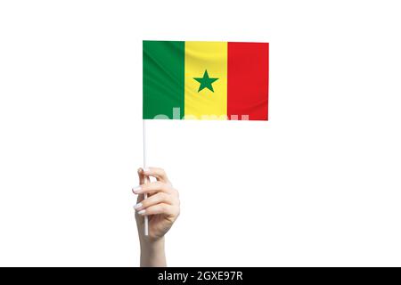 Small national flags of the Senegal on a white background Stock Photo ...