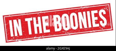 IN THE BOONIES text on red grungy rectangle stamp Stock Photo - Alamy