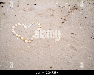 A heart shaped out of mussel shells on the North Sea beach on sand and ...