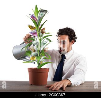 Businessman watering money coins as if they were plants Stock Photo - Alamy