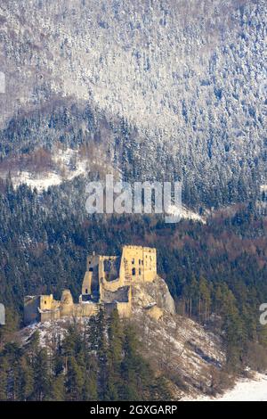Forest near Ruzomberok. Slovakia Stock Photo - Alamy