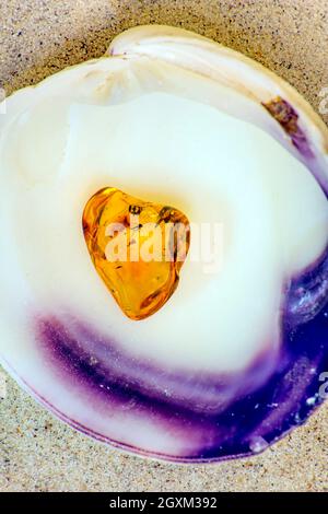 Bernstein mit Insekt Stock Photo - Alamy