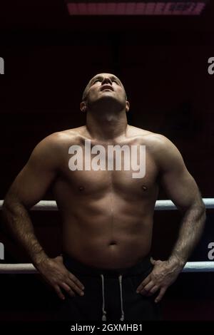 portrait of muscular professional kickboxer who standing in the ring ...