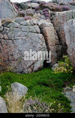 Rocky island in Fjällbacka archipelago on the western coastline of Sweden in May 2025 Stock ...