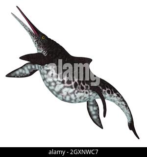 Shonisaurus ichthyosaur, illustration Stock Photo - Alamy