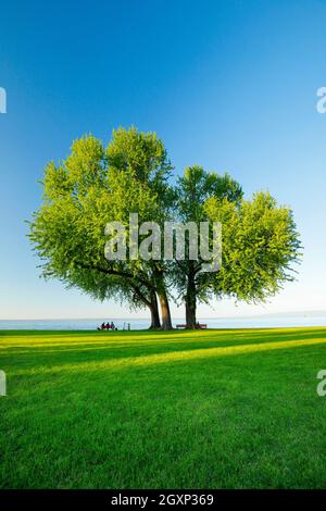 People enjoy the evening near a lake at the Olympic Parc in Munich ...