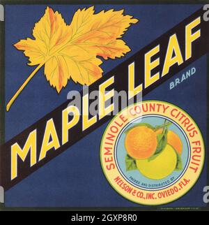 Maple Leaf Brand Citrus Label (1940s) anonymous artist Stock Photo - Alamy