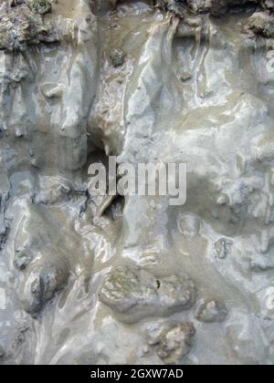 Muddled in rain. Layers of mud. Disaster. Dangerous nature. Mud stream ...