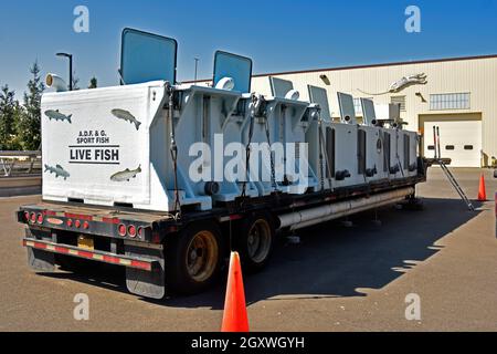 Truck with tanks used to transport live fish, William Jack Hernandez ...