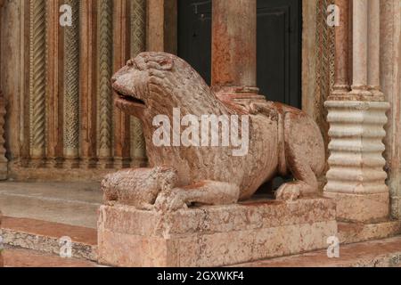 Romanesque sculpture of lion in Modena Stock Photo - Alamy