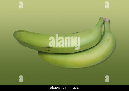 green bananas over matching colour gradient background Stock Photo - Alamy