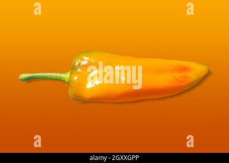 Pepper over matching colour background Stock Photo - Alamy