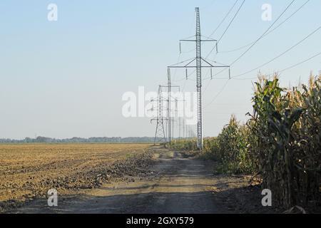 Power poles near the cornfield. Rural landscape Stock Photo - Alamy