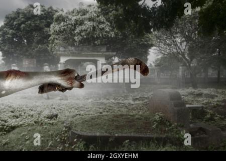 Zombie hands with wound holding sickle isolated over white background ...