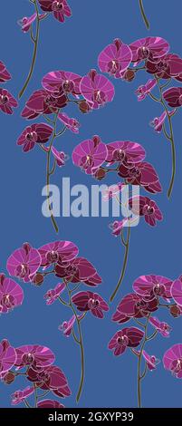 Vector orchid flowers. Floral botanical flower. Isolated illustration ...