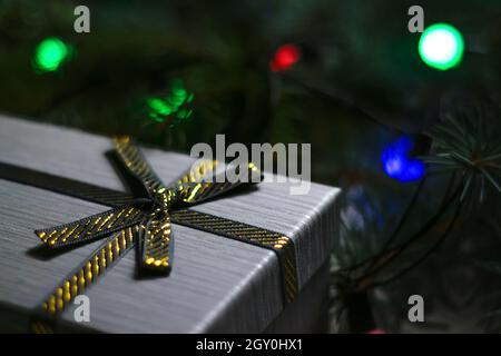 Defocus gray gift with close-up gold bow ribbon on pine or fir tree ...