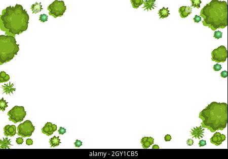 Forest landscape. Frame. Dense wild trees with tall, branched trunks ...