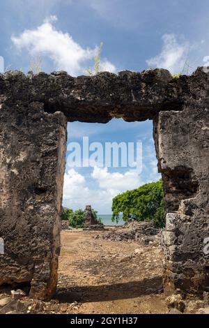 When Simonsz Gooyer, the first Dutch Governor of Mauritius, and his men ...