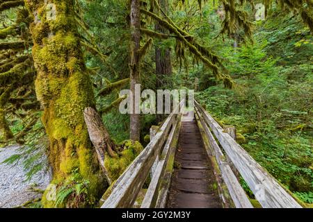 Bridge over Elk Creek at Staircase, Olympic National Park, Washington ...