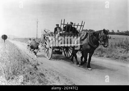 Civilians on horse-drawn carts among the shattered ruins of Stalingrad ...