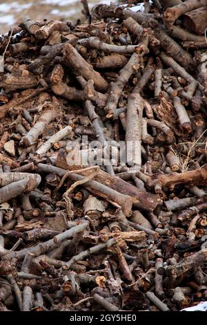 Stack of wooden bunch twigs background Stock Photo - Alamy