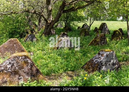 A nature reserve along the historic tank traps along the Westwall near ...