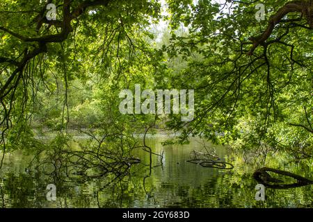 German countryside landscape, Lower Rhine Region in Germany Stock Photo ...