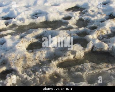 Background: muddy spring melting snow Stock Photo - Alamy