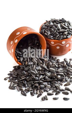 Sunflower Seeds (Helianthus annuus) on white background Stock Photo - Alamy
