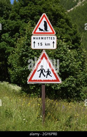 children in road and traffic on the street children in road traffic on ...