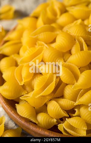 Raw Dry Organic Medium Pasta Shells Ready to Cook Stock Photo - Alamy