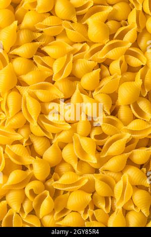 Raw Dry Organic Medium Pasta Shells Ready to Cook Stock Photo - Alamy