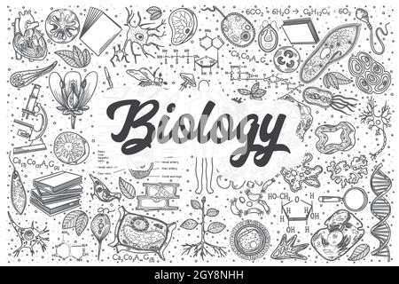 Hand drawn Biology doodle set background with red lettering in vector ...